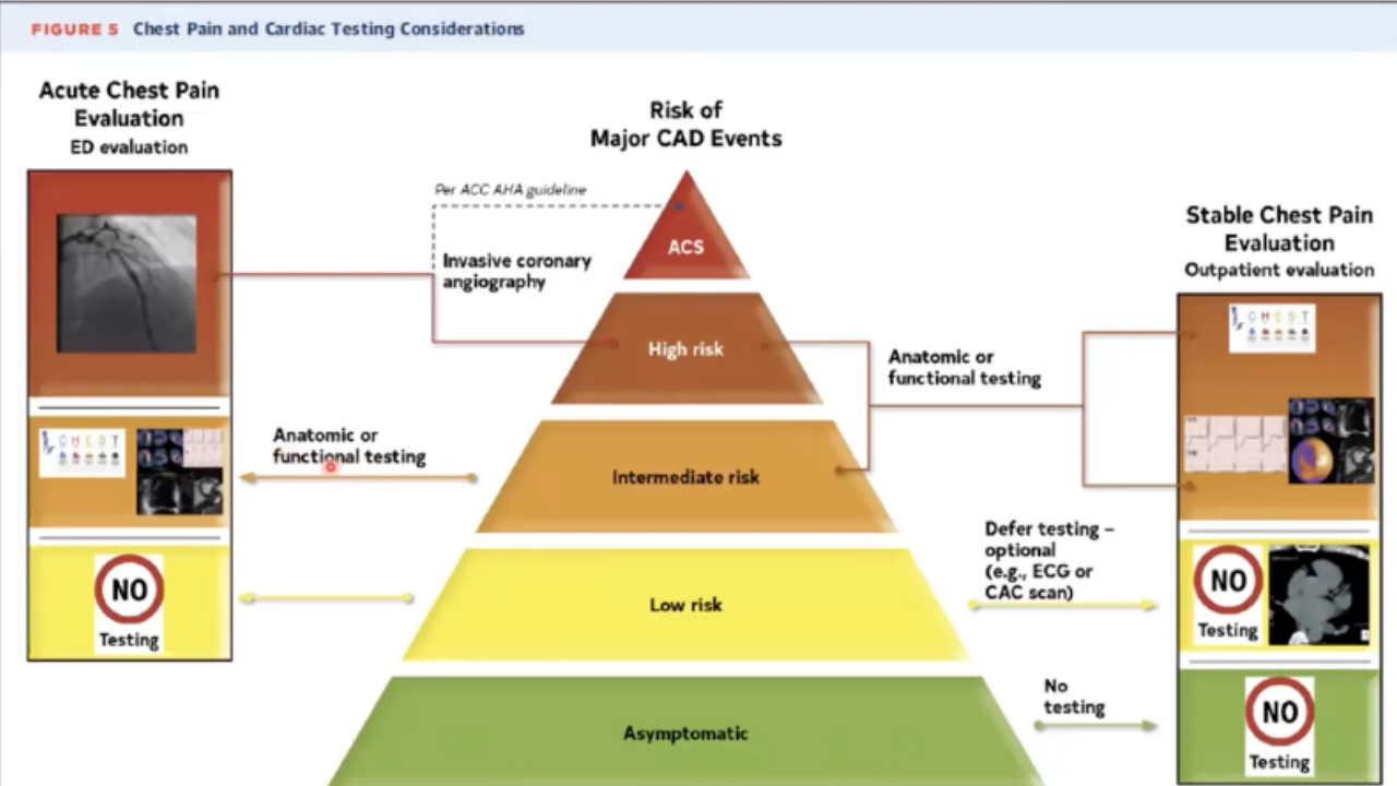 Cardiac Imaging Noon Conference - Radiology Course - MRI Online is now ...