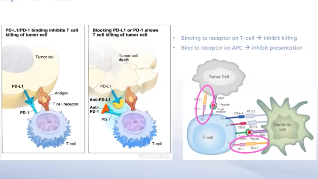 Imaging Response Patterns in the Modern Era of Cancer Treatment, Dr ...