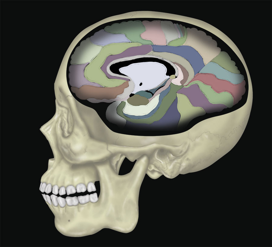 Ortho Appendix - Wrist MRI - MRI Online is now Medality